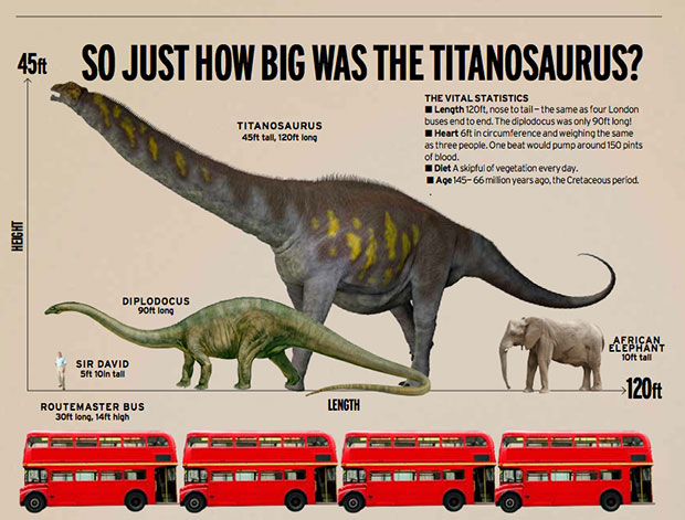 Titanosaurus Facts Paleontology World